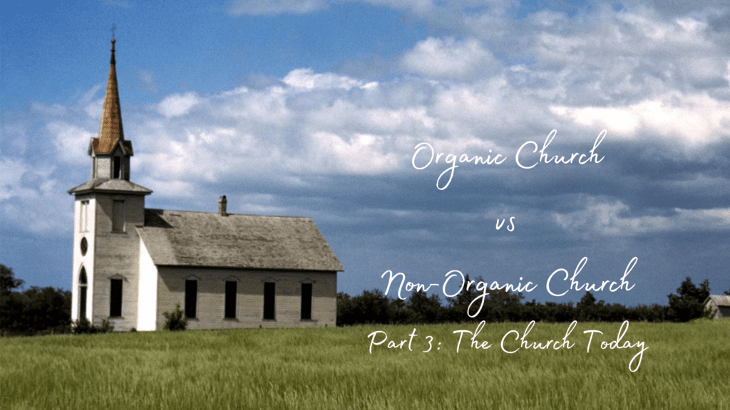 Organic vs Non-Organic Church – Part 3: The Church Today – Sonday Life