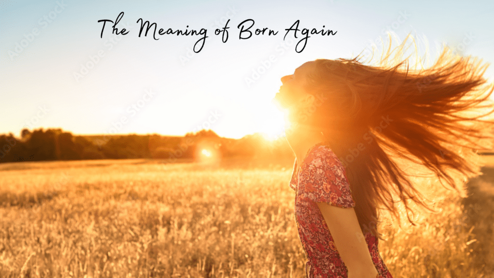 The Meaning of Born Again – Sonday Life